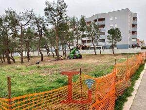 Pineta, via tutti i 21 alberi. Abbattimento all'alba con forze dell'ordine
