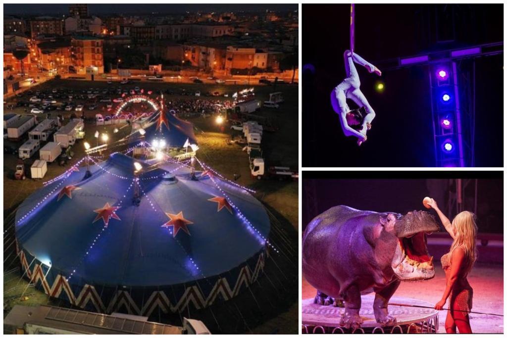 Torna il circo a Monopoli, l'organizzazione: "Il sogno africano con ...